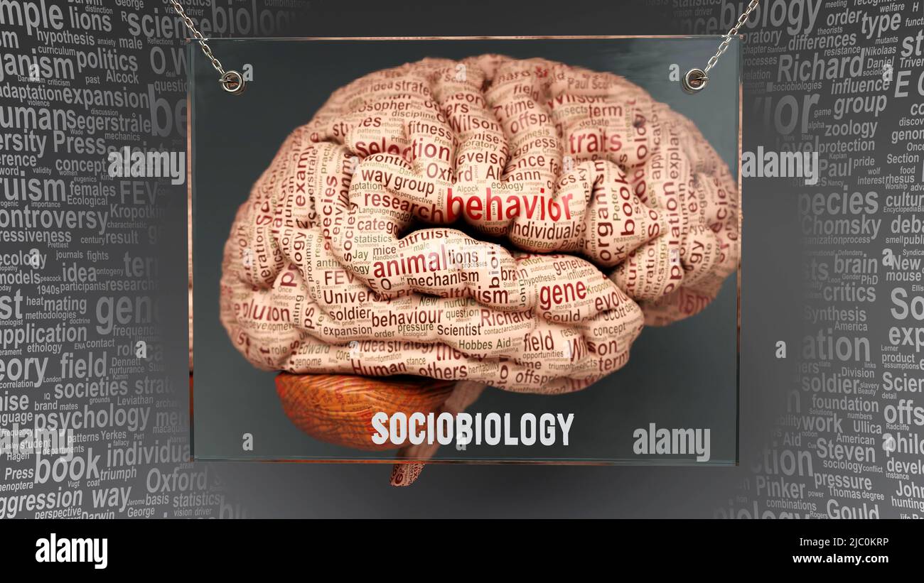 Sociobiology in human brain - dozens of important terms describing ...