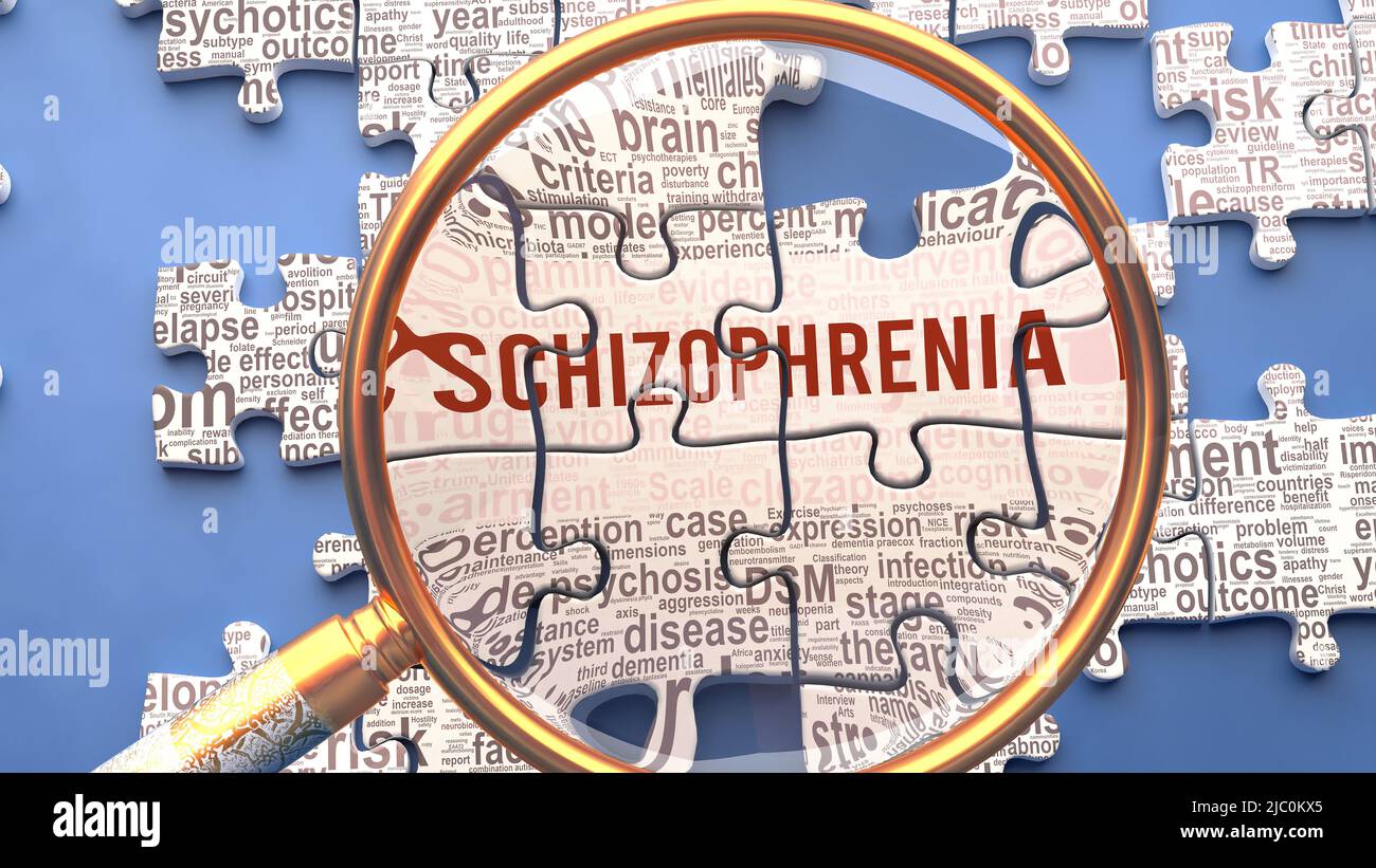 Schizophrenia as a complex and multipart topic under close inspection ...