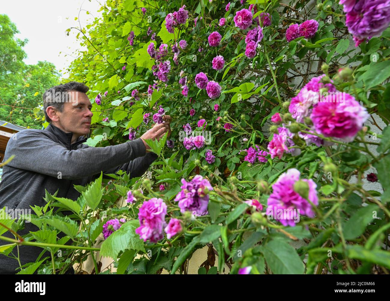Zechin, Germany. 01st June, 2022. Gerard Reid stands at the former ...