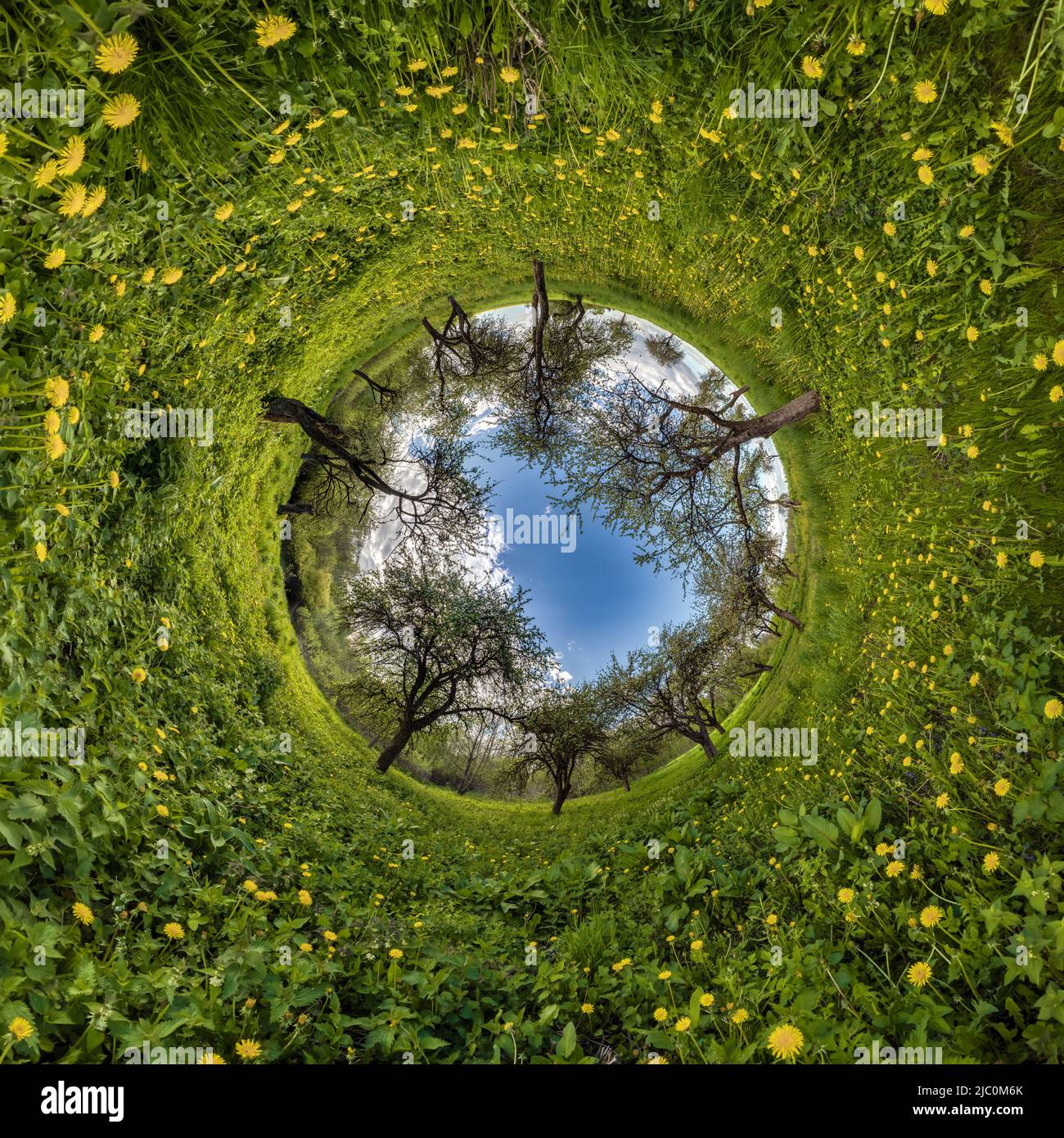 blue sphere little planet inside green grass round frame background ...