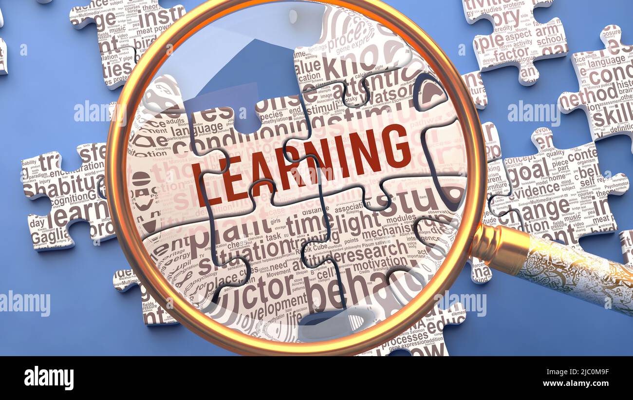 Learning as a complex and multipart topic under close inspection ...