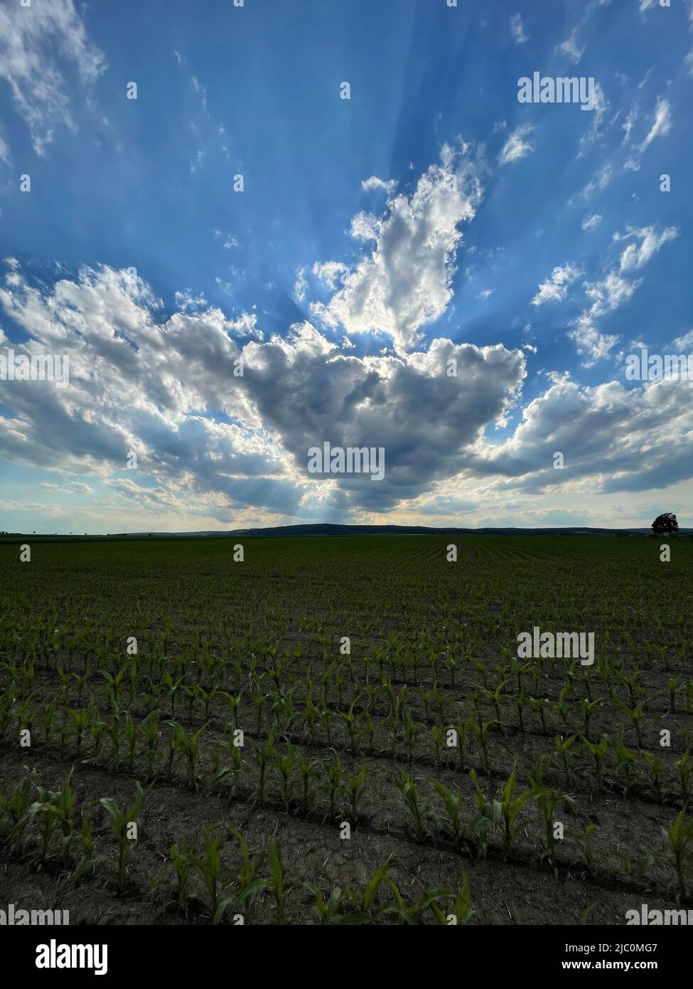 Nice field hi-res stock photography and images - Alamy
