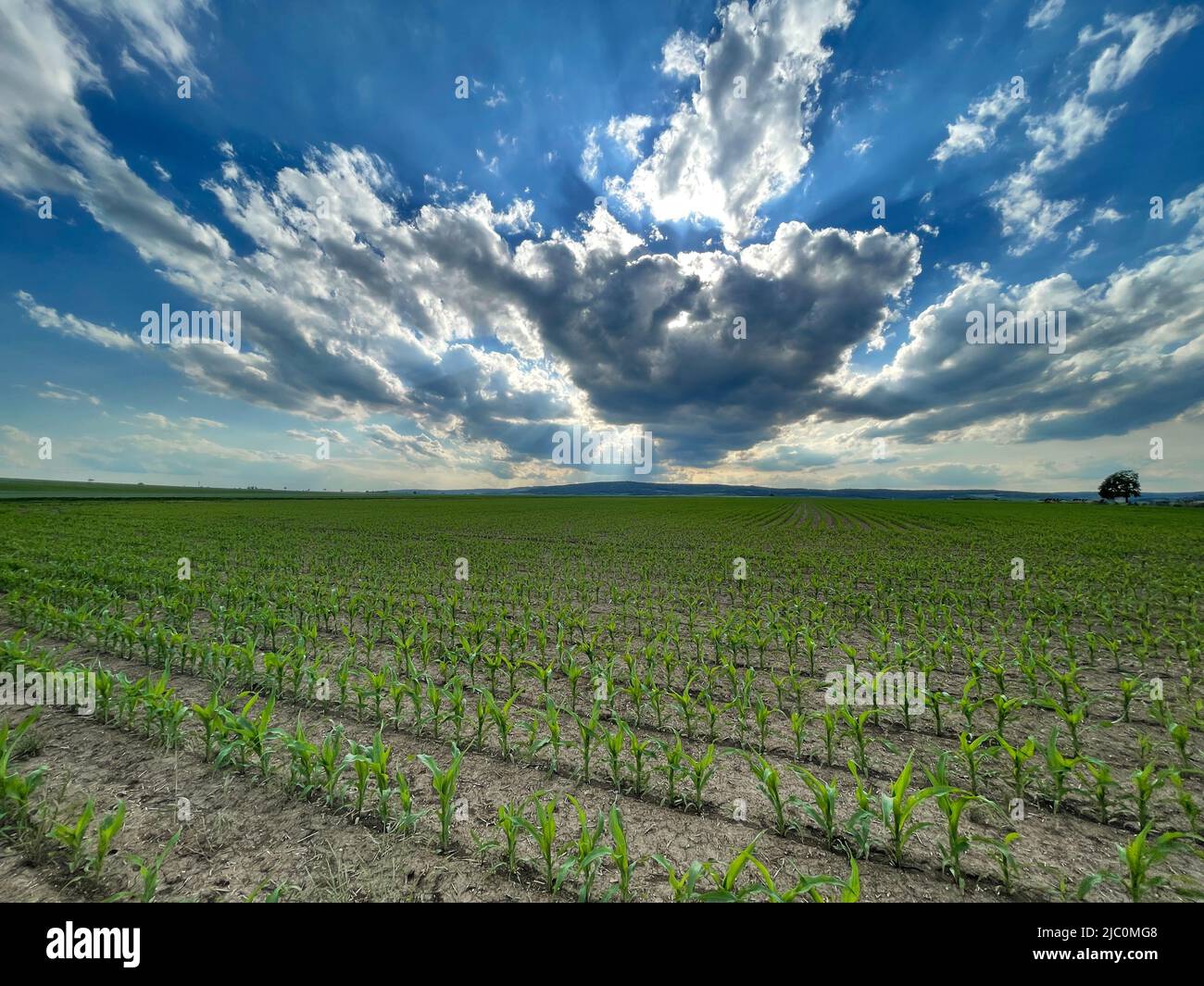 Nice field hi-res stock photography and images - Alamy