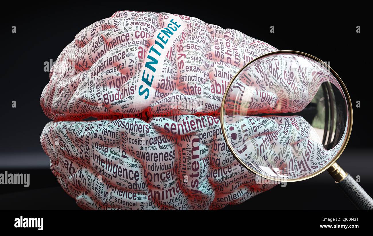 Sentience hi-res stock photography and images - Alamy
