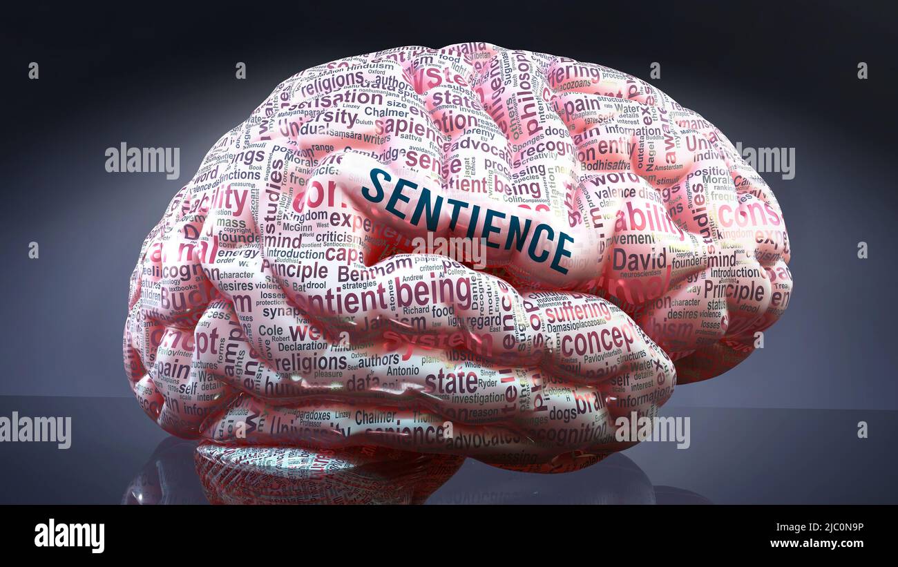 Sentience in human brain hi-res stock photography and images - Alamy
