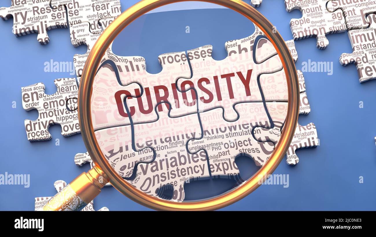 Curiosity As A Complex And Multipart Topic Under Close Inspection Complexity Shown As Matching