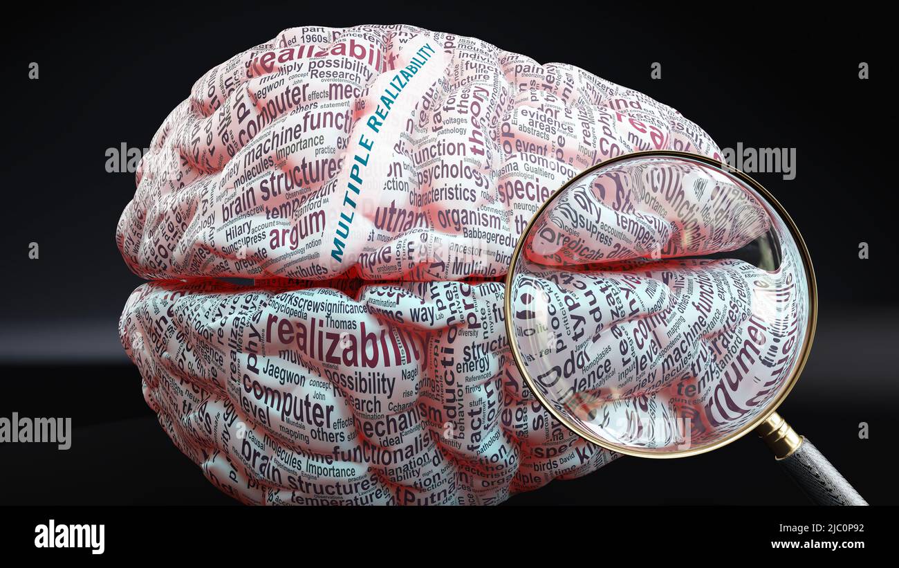 Multiple realizability hi-res stock photography and images - Alamy