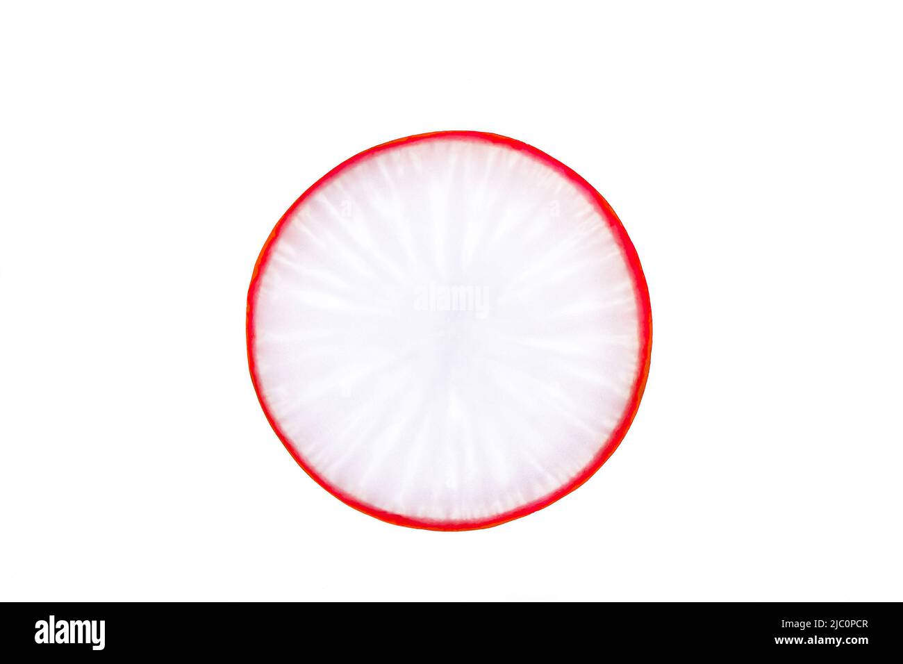 Radish slice isolated on white background Stock Photo - Alamy