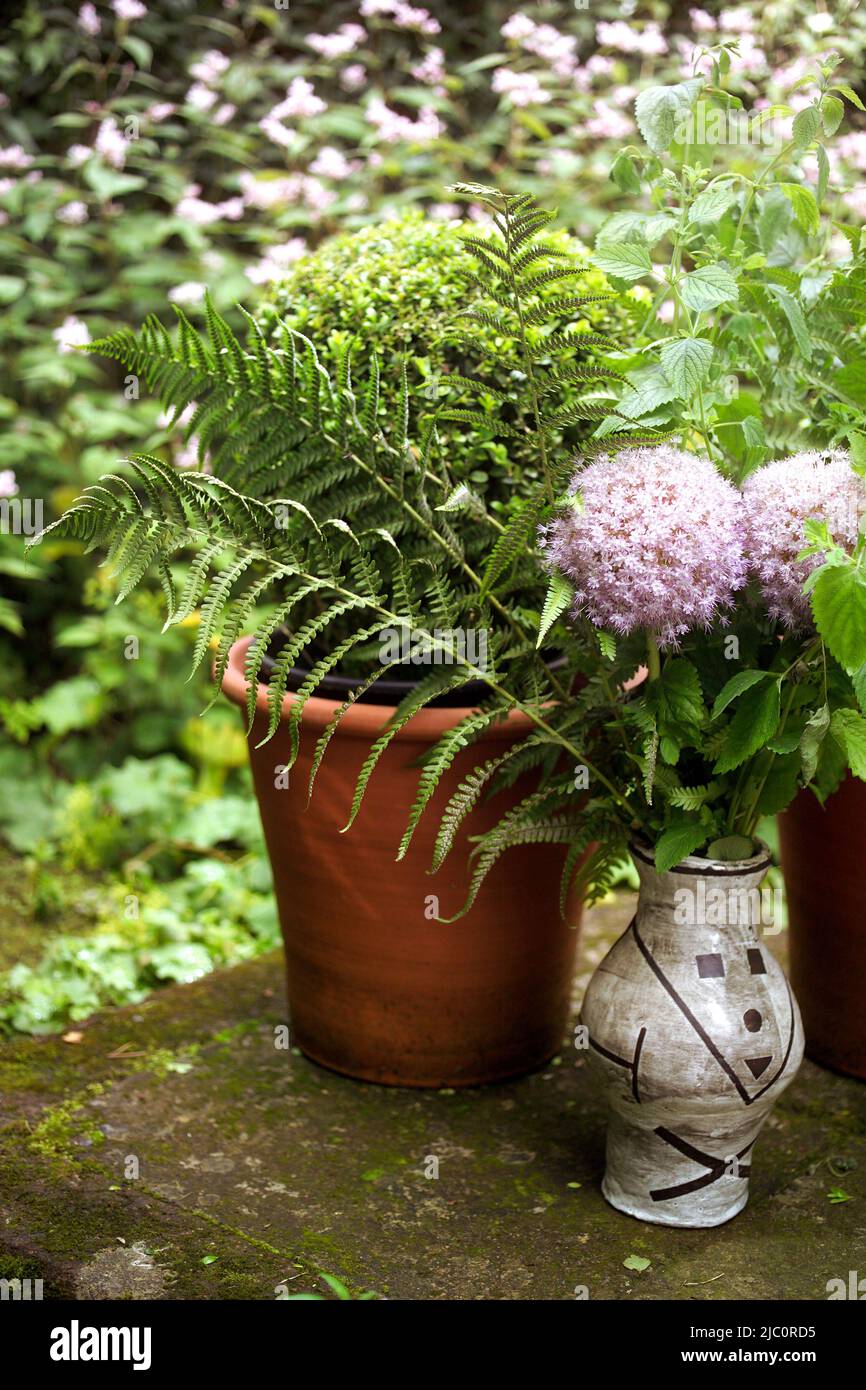 Pink Alium and ferns in pot and vase, The Garden Station, Restored ...