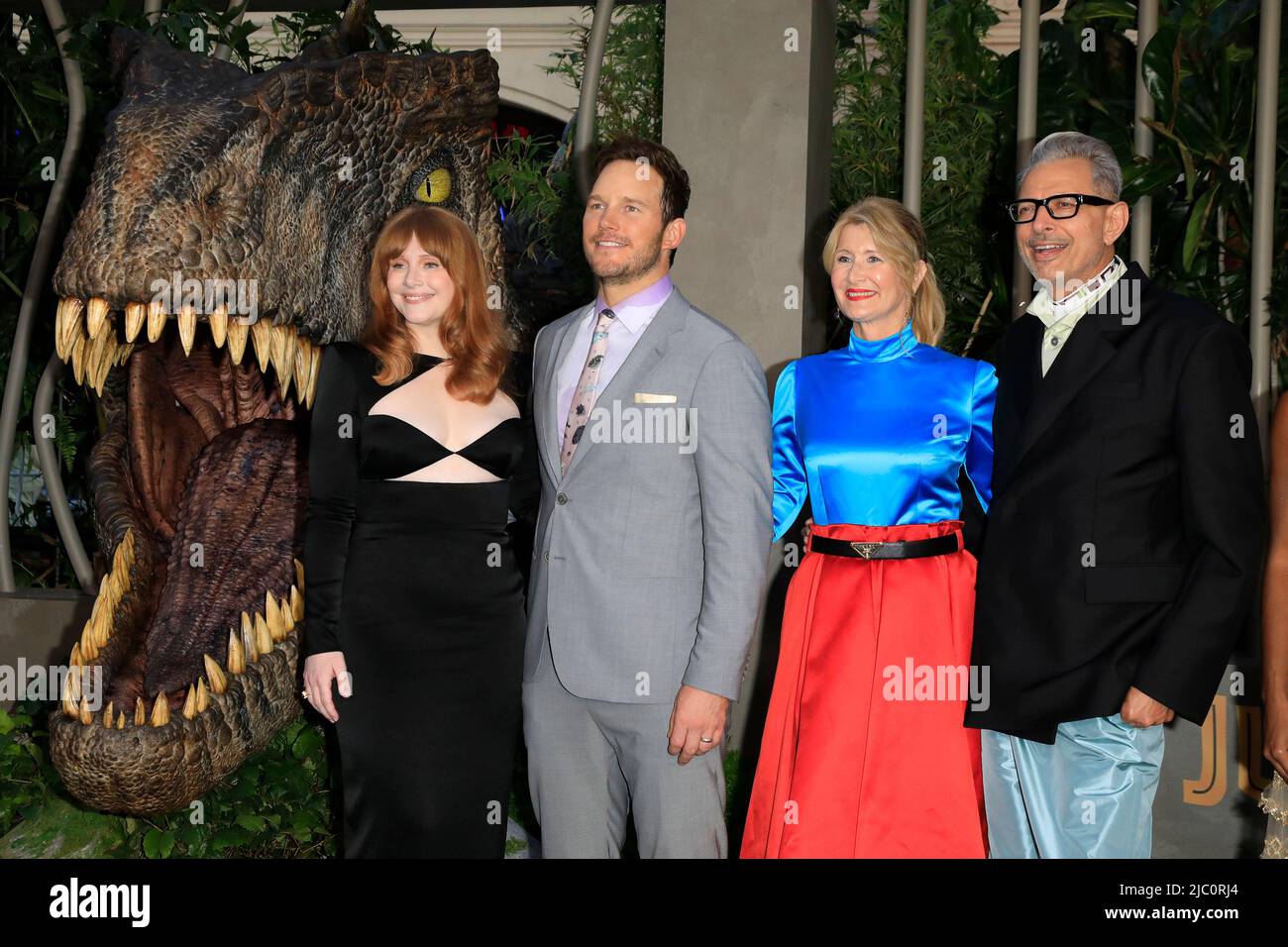 Laura Howard Tim Howards Wife