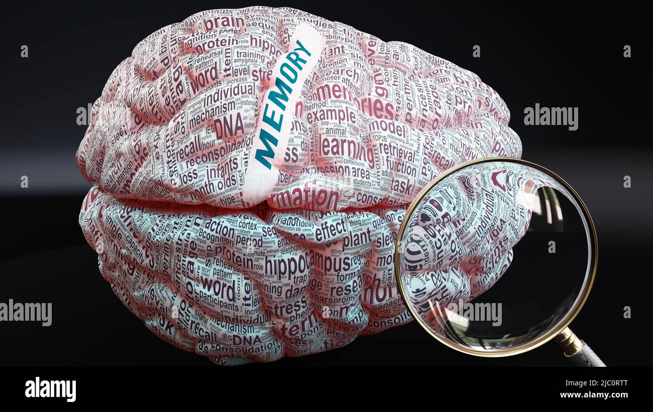 Memory in human brain, a concept showing hundreds of crucial words ...