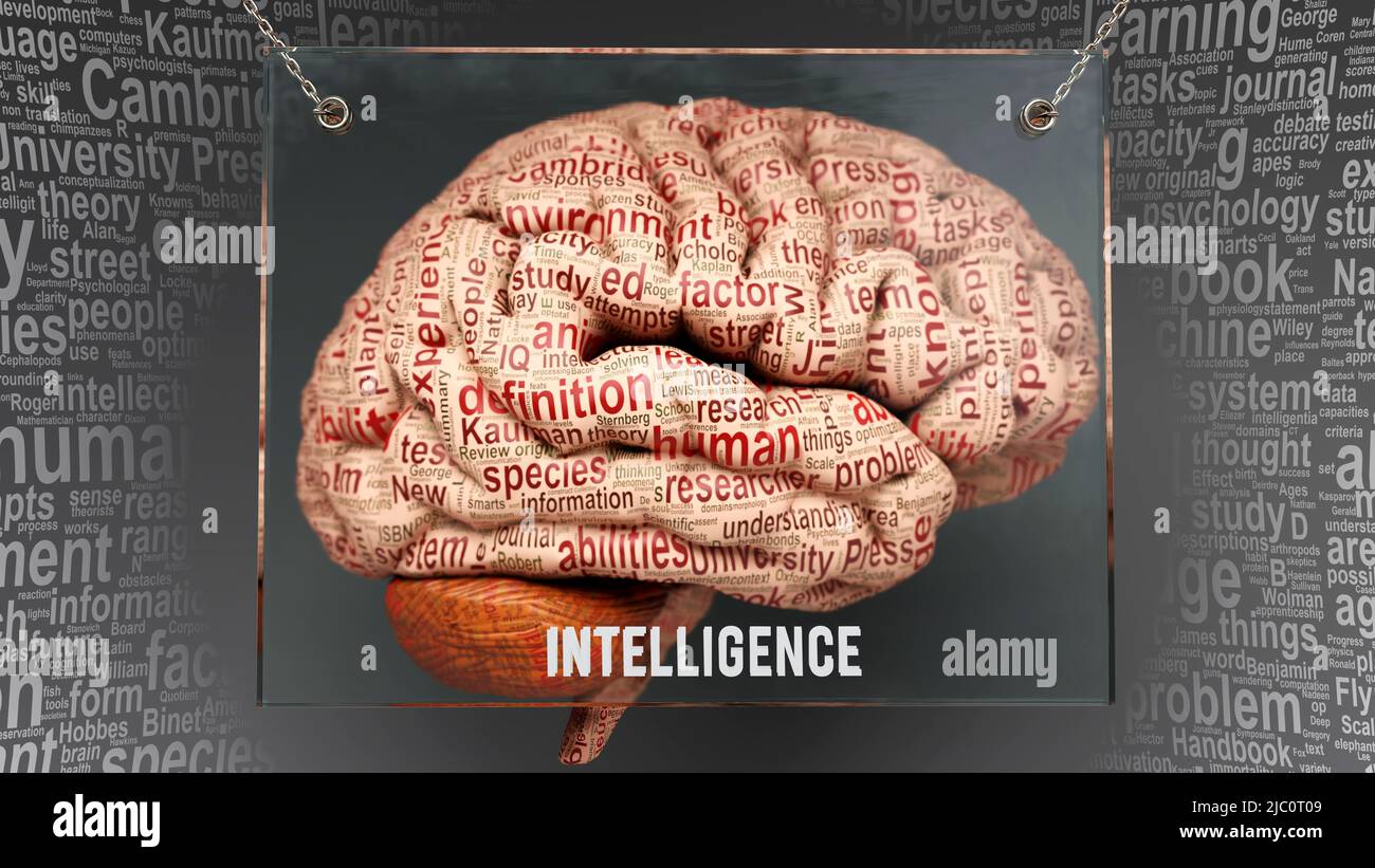 Intelligence In Human Brain Dozens Of Important Terms Describing