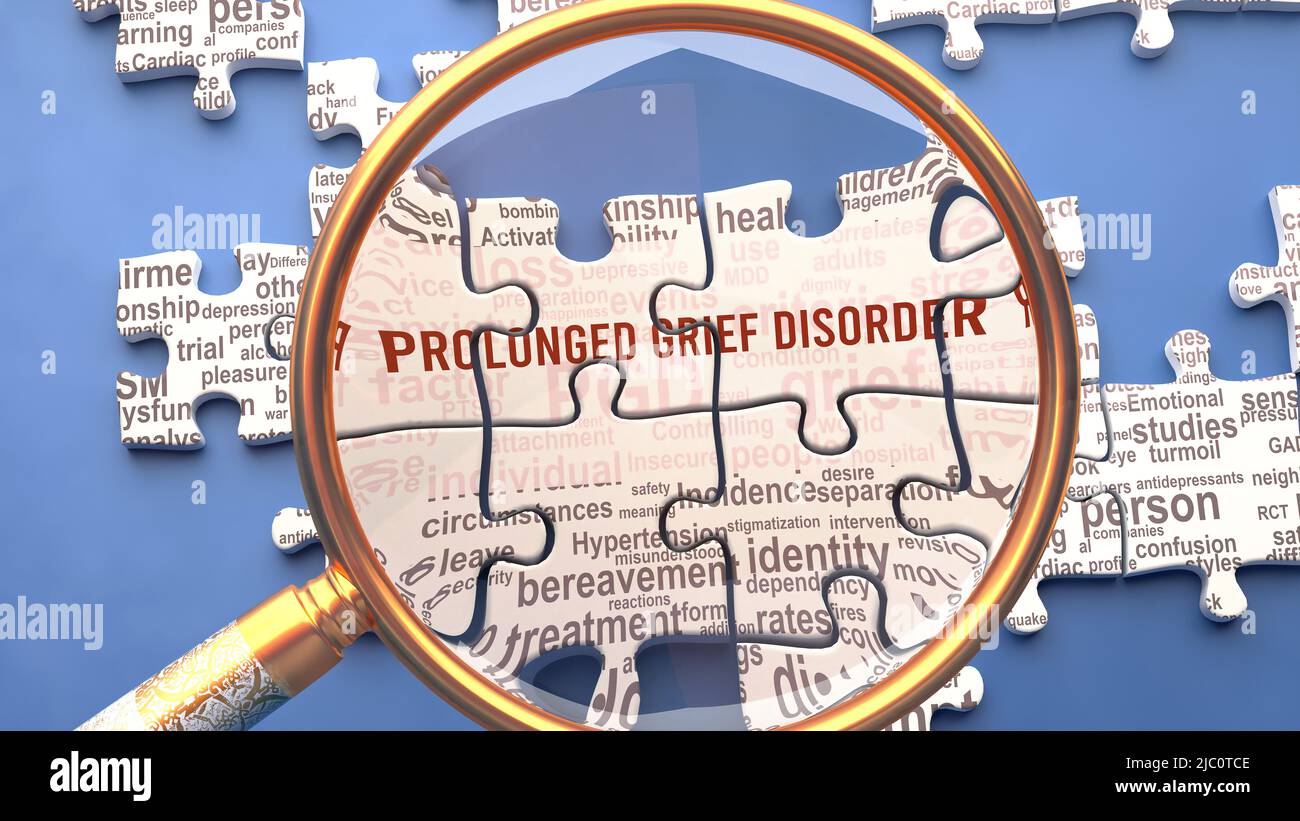 Prolonged grief disorder as a complex topic under close inspection ...