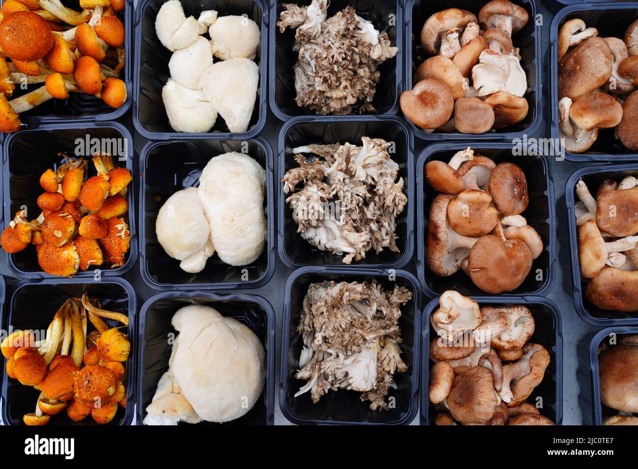 Containers of mixed gourmet mushrooms at a farmers market Stock Photo ...