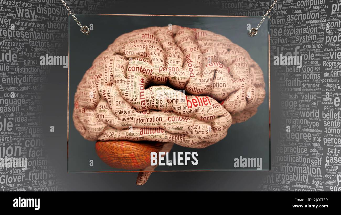 Beliefs In Human Brain Dozens Of Important Terms Describing Beliefs