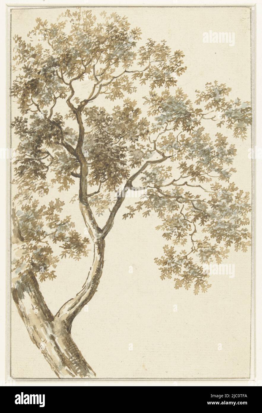 Jacob branch hi-res stock photography and images - Alamy