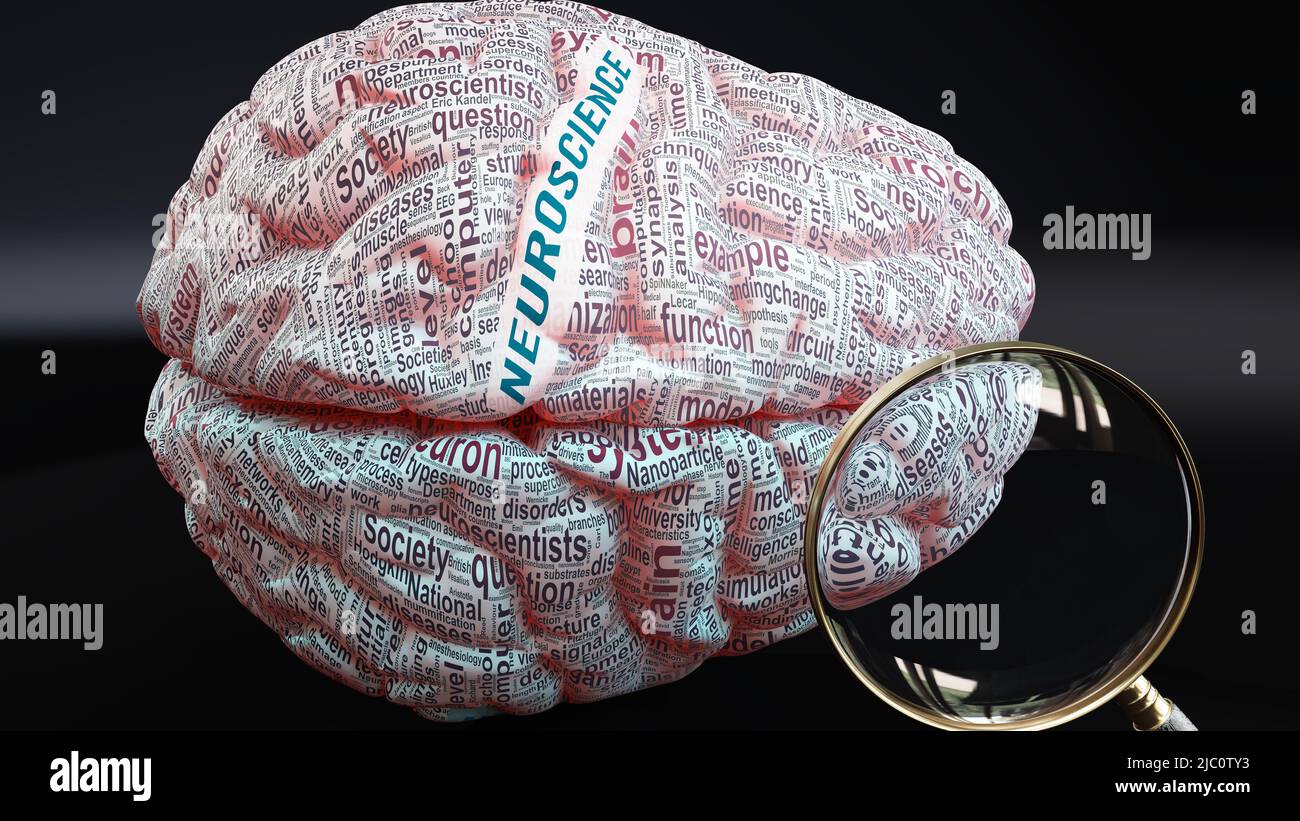 Neuroscience In Human Brain A Concept Showing Hundreds Of Crucial Words Related To Neuroscience