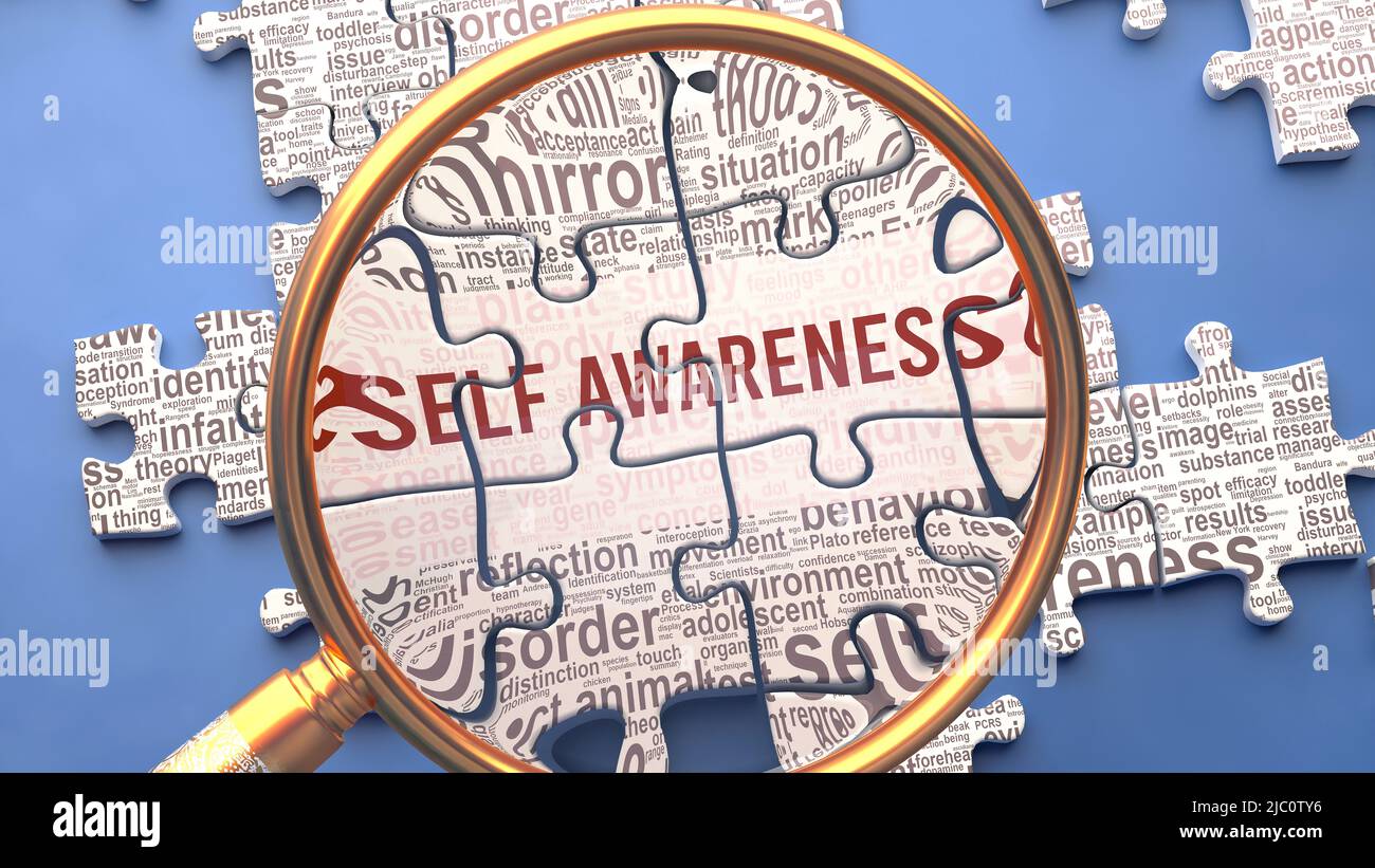 Self awareness as a complex and multipart topic under close inspection ...