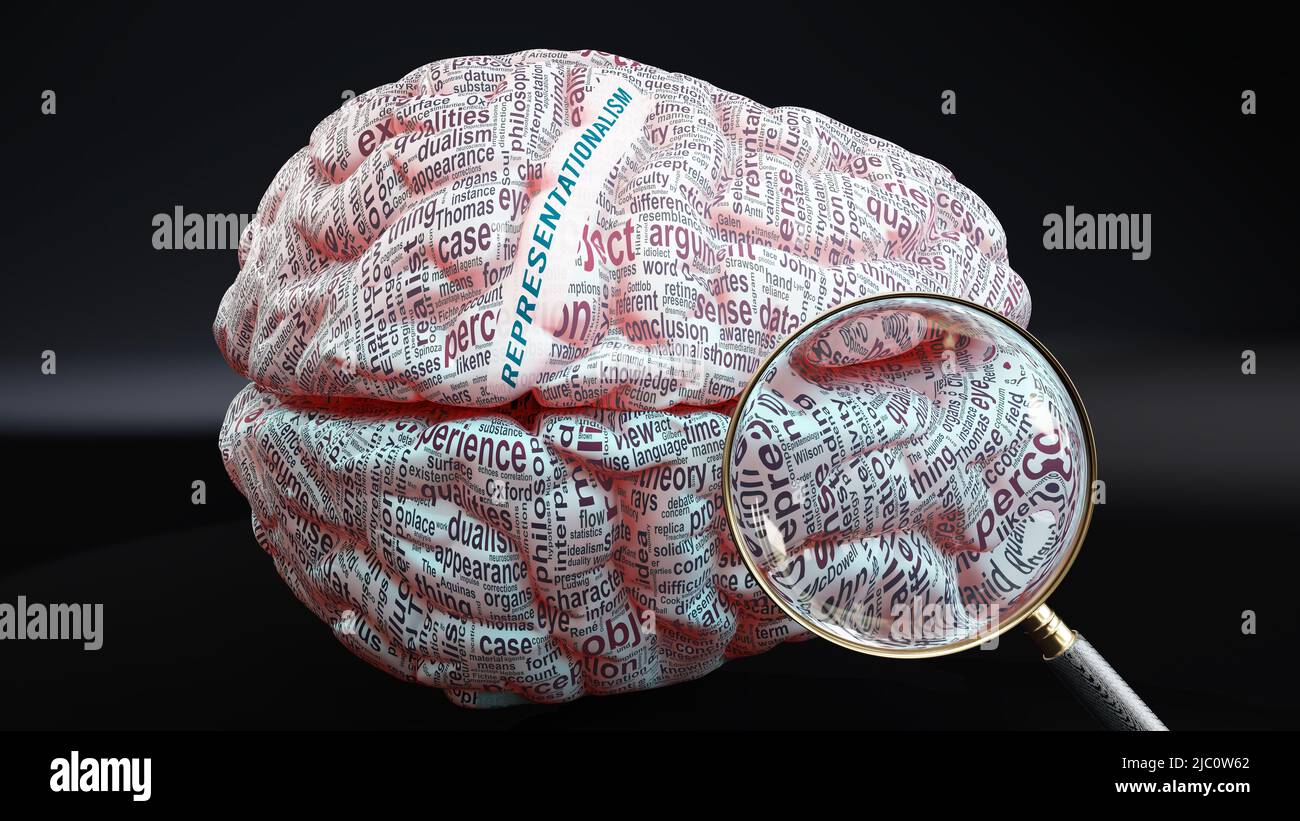 Representationalism in human brain, a concept showing hundreds of ...