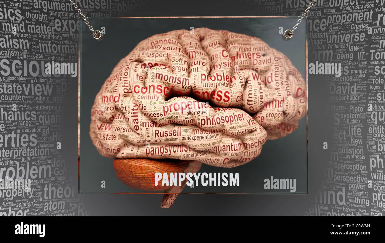 Panpsychism In Human Brain Dozens Of Important Terms Describing