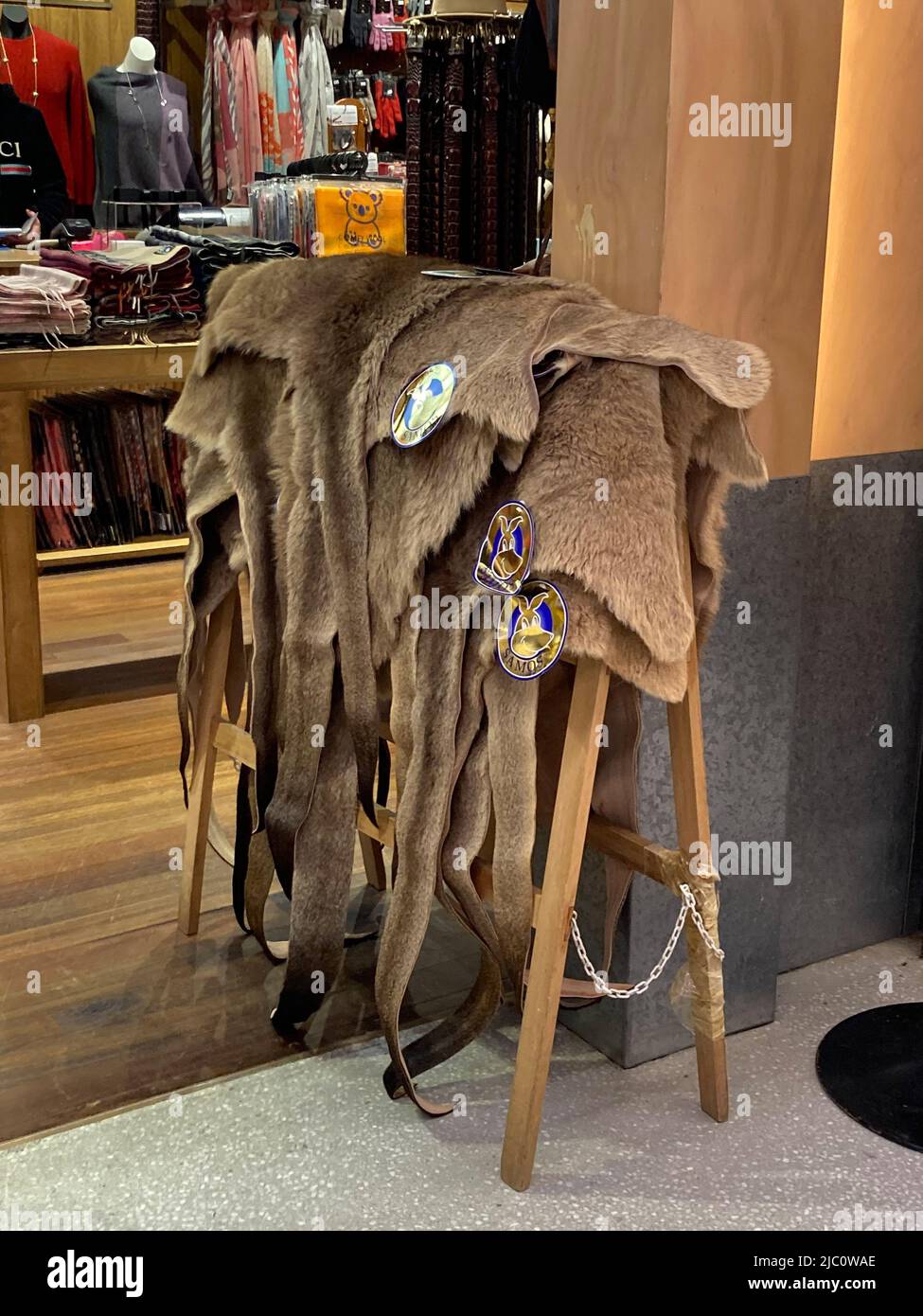 Kangaroo skins hi-res stock photography and images - Alamy