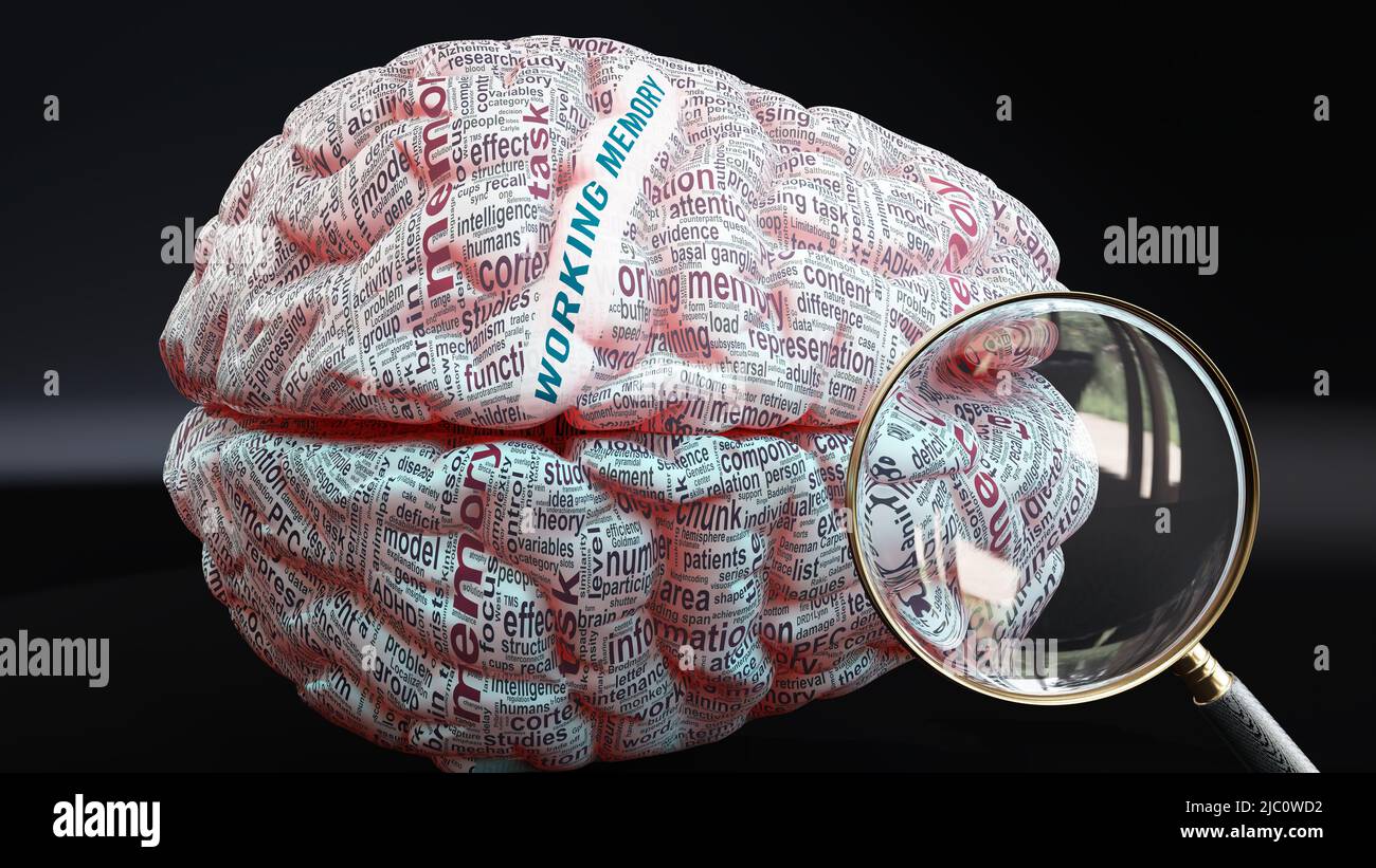 Working memory in human brain, a concept showing hundreds of crucial ...