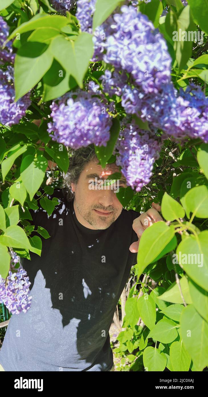 Man hiding in bushes hi-res stock photography and images - Alamy