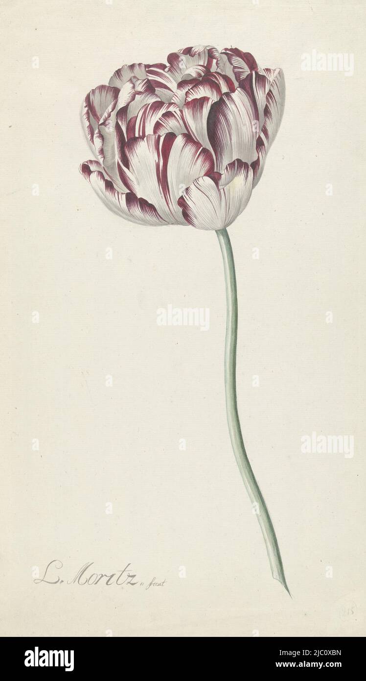 457 mm hi-res stock photography and images - Alamy