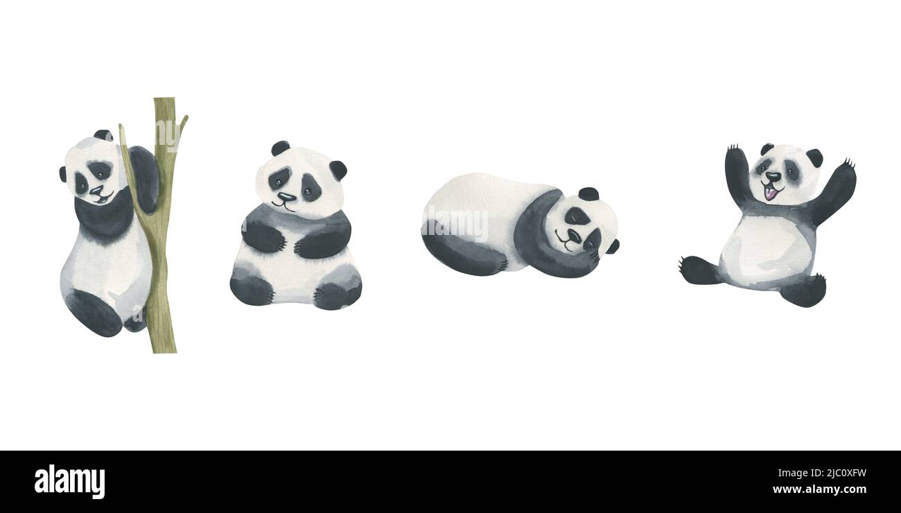Watercolor illustration of a set of panda bears. Cheerful, calm ...