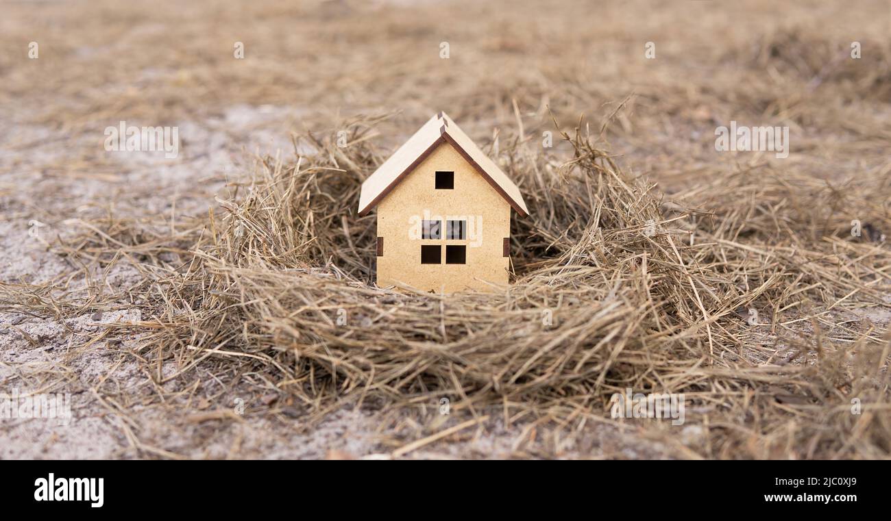 Realistic wooden house model placed in a bird's nest on the ground ...