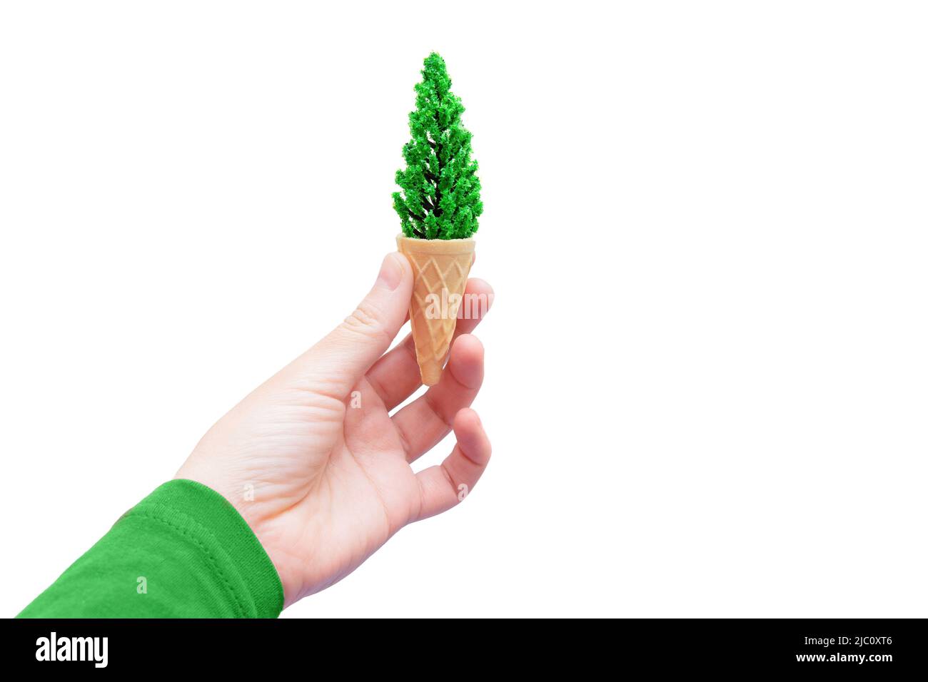 Hand holding a small waffle cone with a miniature tree isolated on ...