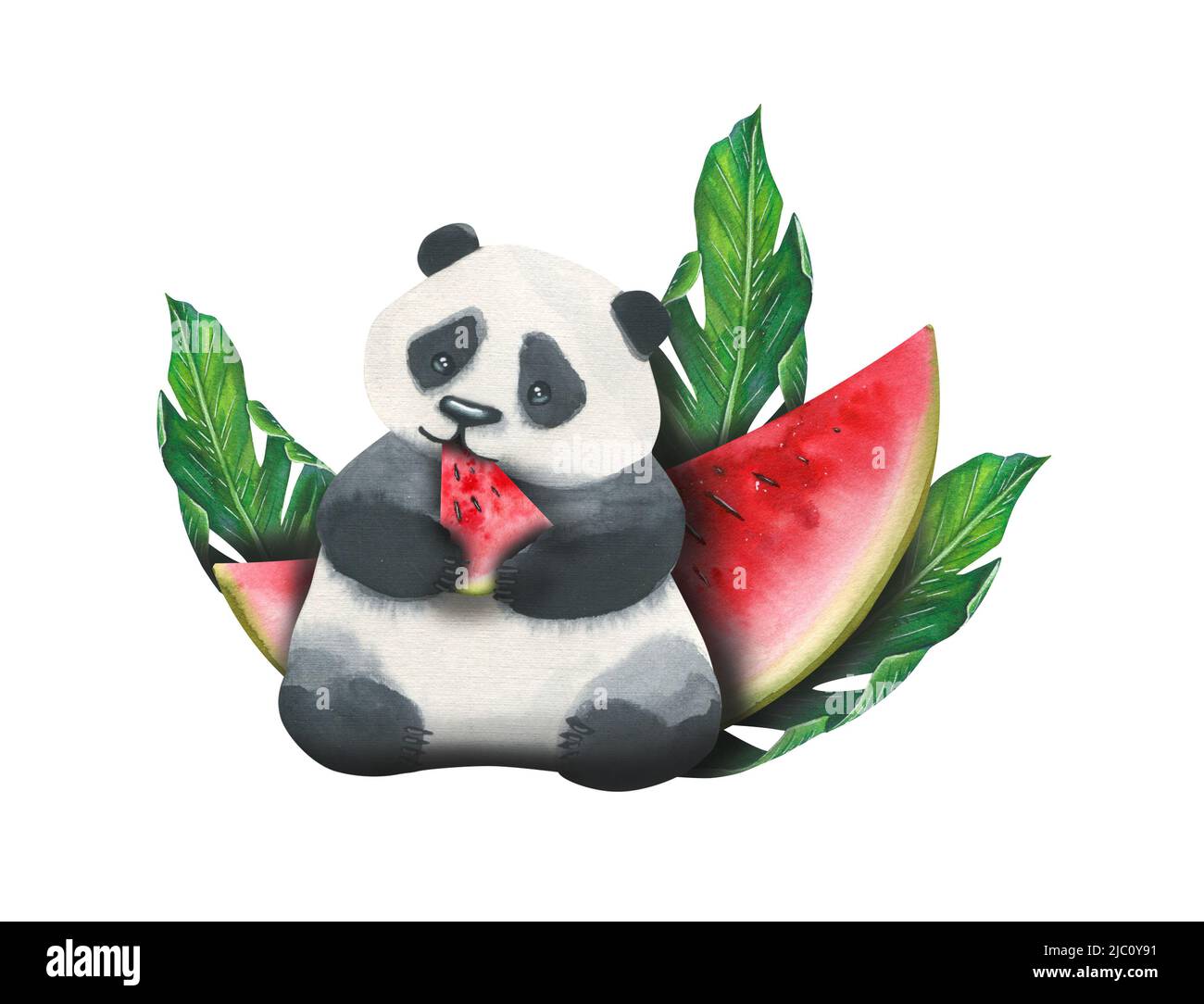Watercolor illustration of a panda eating a watermelon against a ...