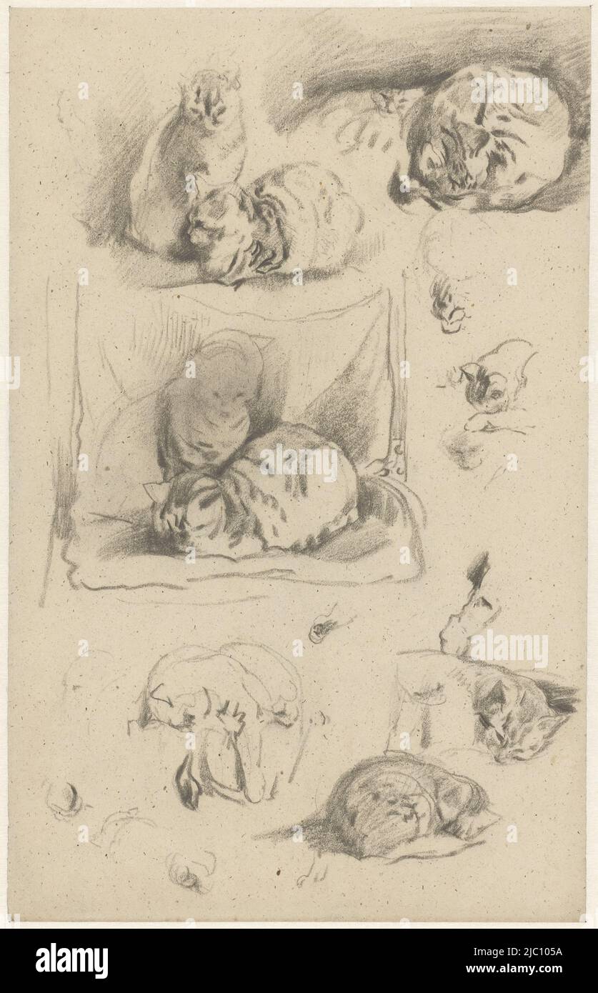 Studies of cats, draughtsman: Guillaume Anne van der Brugghen, 1821 ...