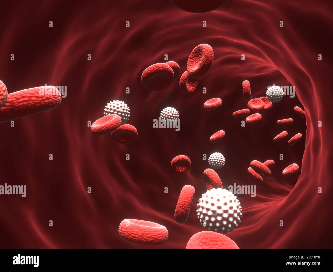 3d render of Red and White Blood Cells Flow Through Blood Vessel In ...