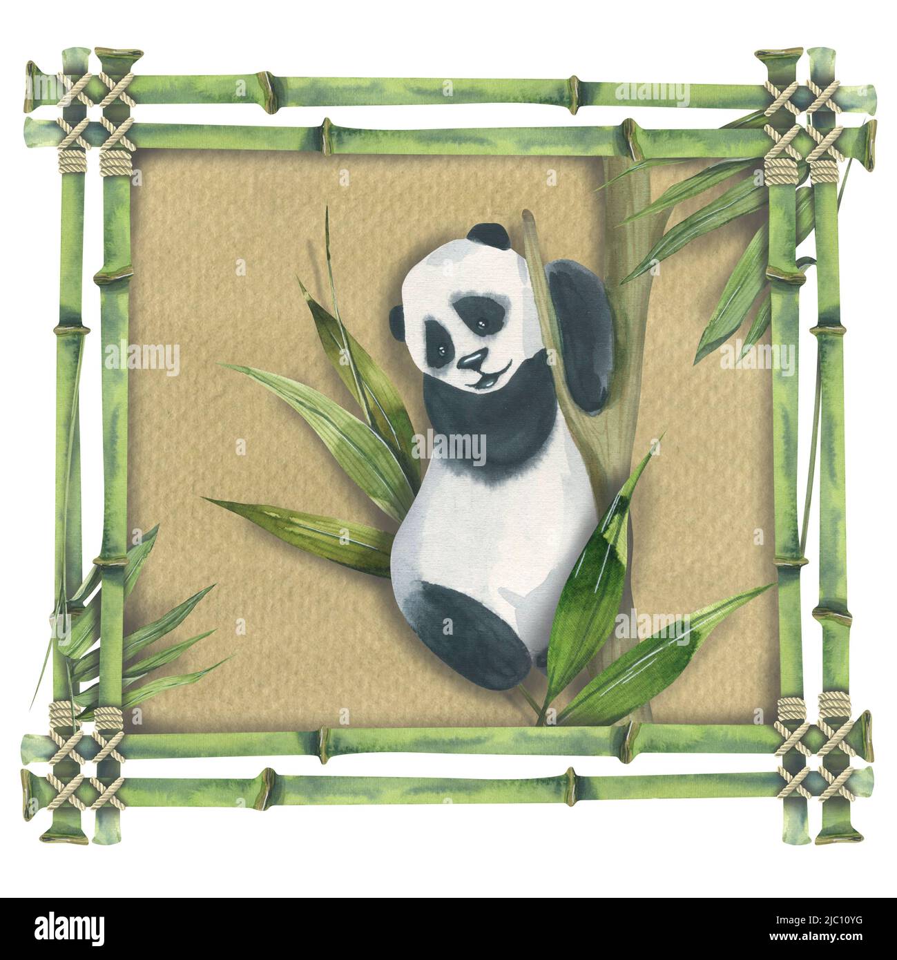 Border design panda illustration hi-res stock photography and images ...