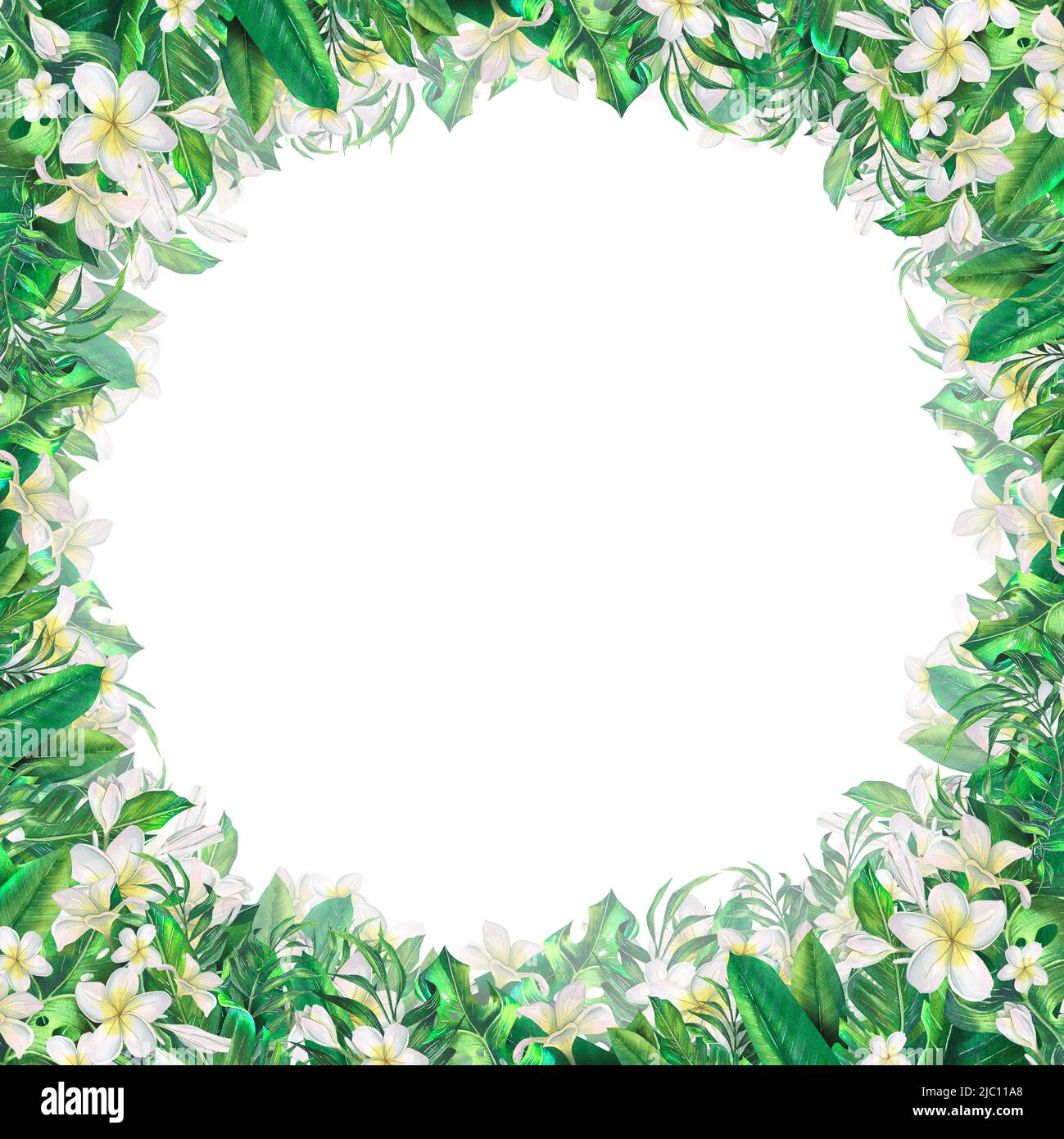 Watercolor illustration frame with tropical leaves, plumeria flowers ...