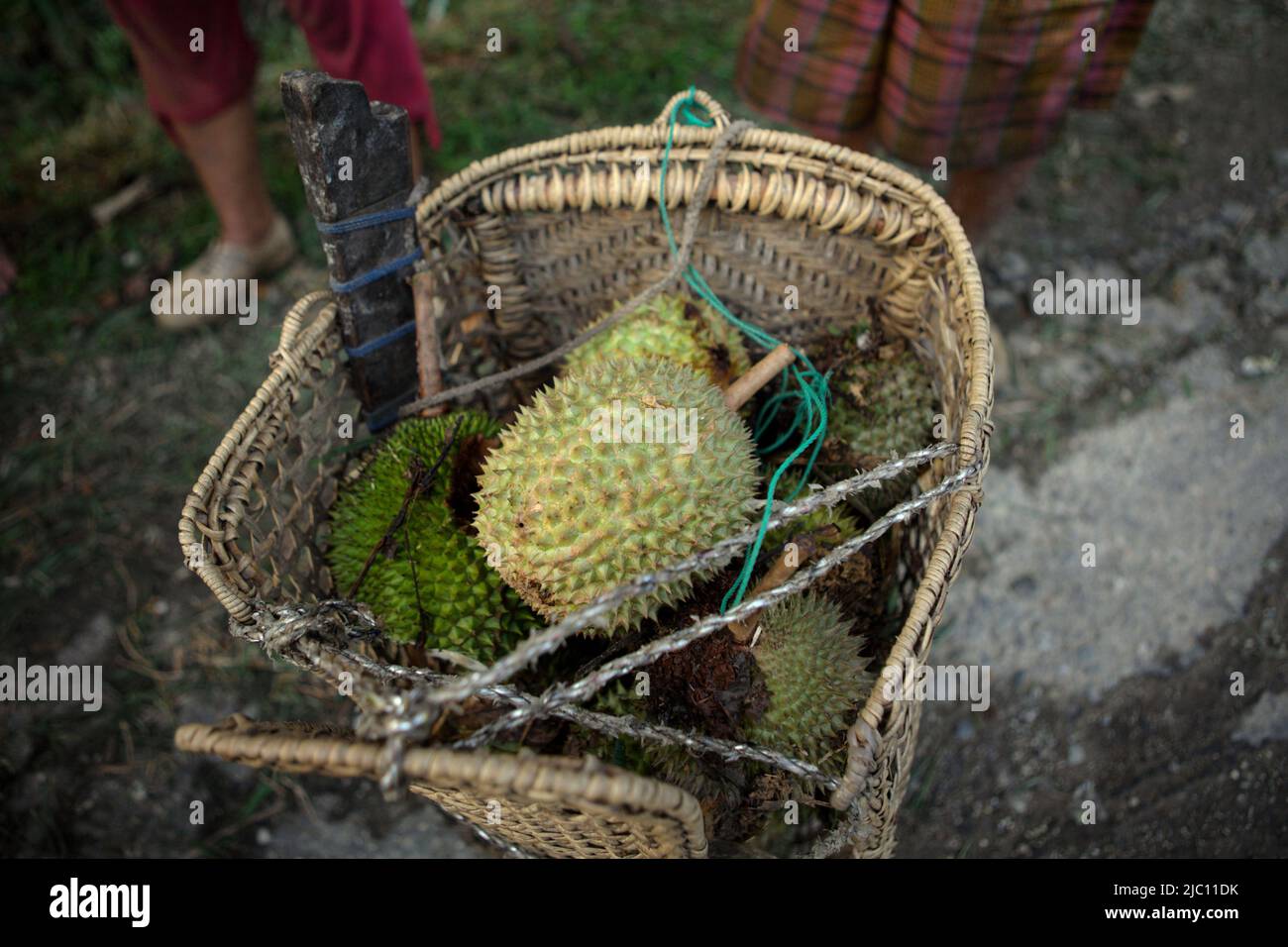 Sungai durian hi-res stock photography and images - Alamy