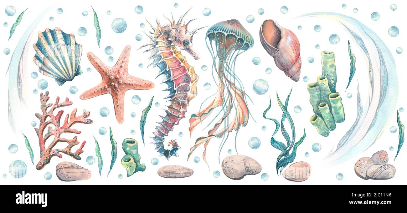 A large set of objects on a marine, tropical theme. Seahorse, jellyfish ...