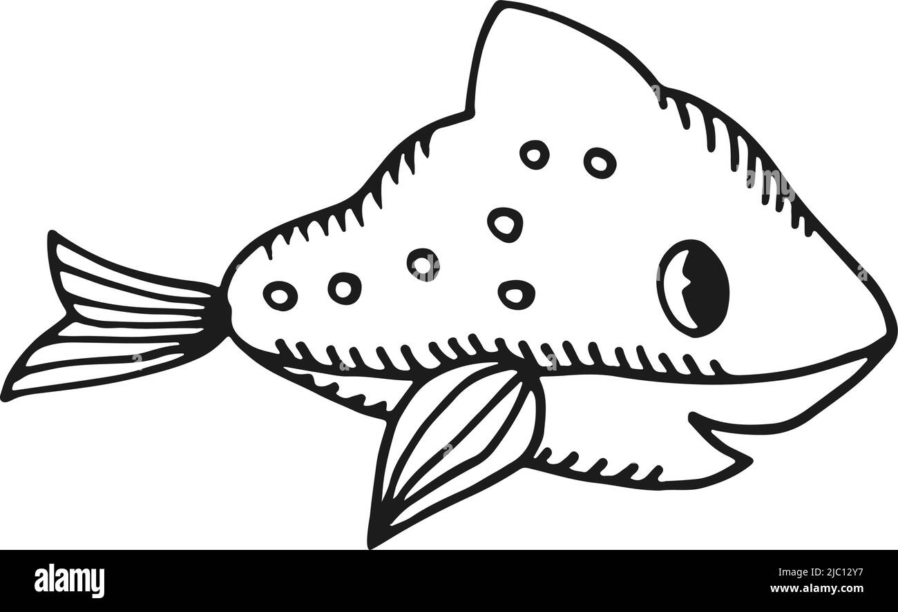 Funny Fish Drawing