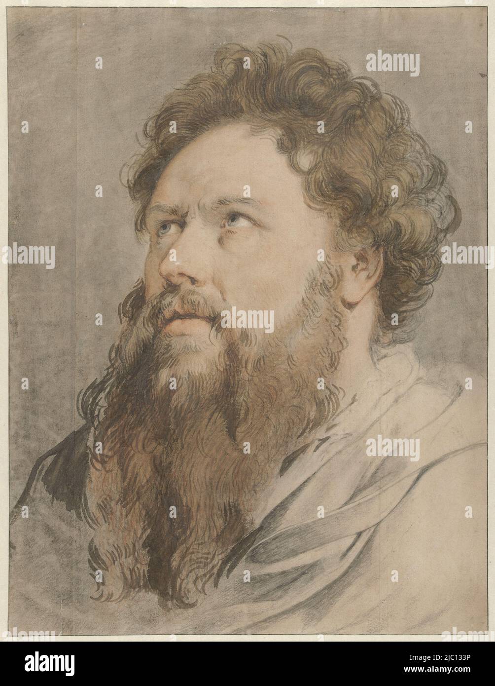 Heavy chestnut beard hi-res stock photography and images - Alamy