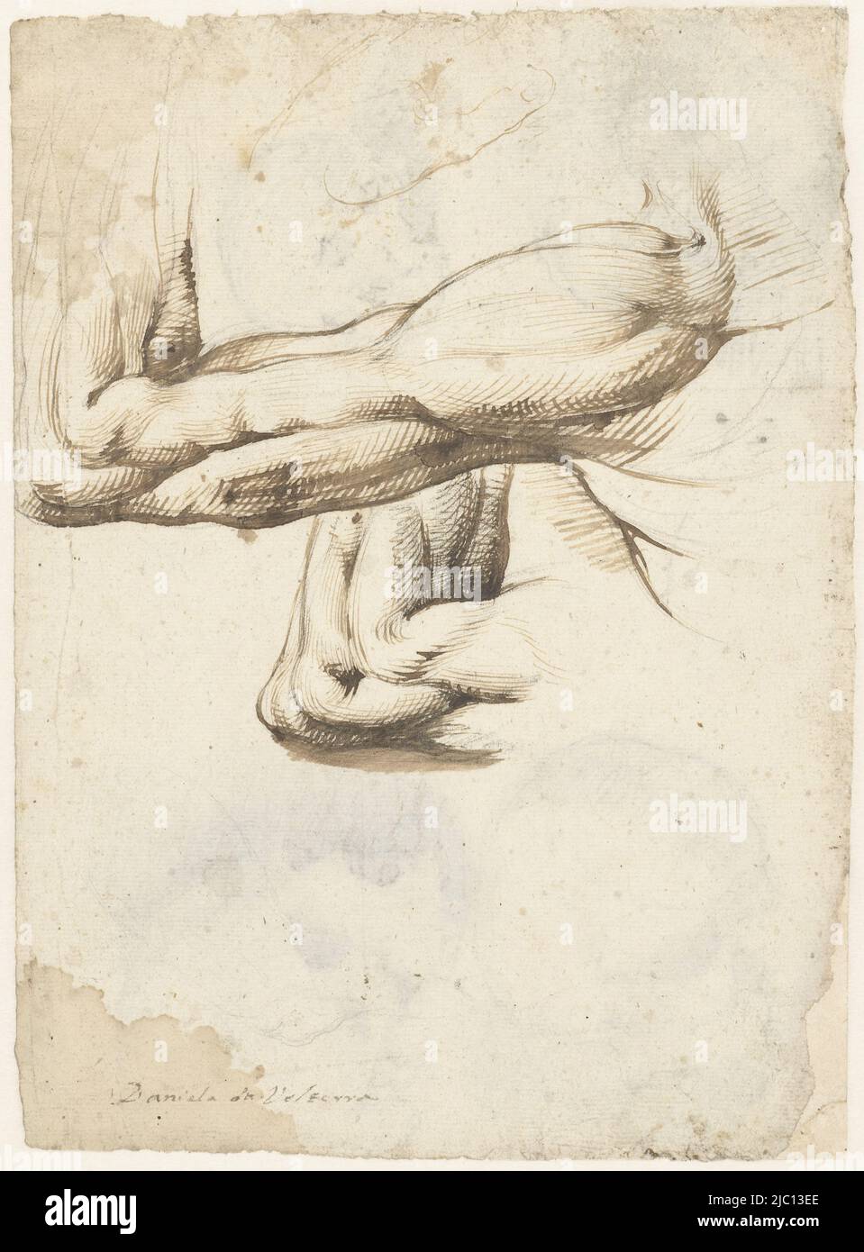 Anatomy study: two arms bent in the elbow and one hand, Two arms and ...