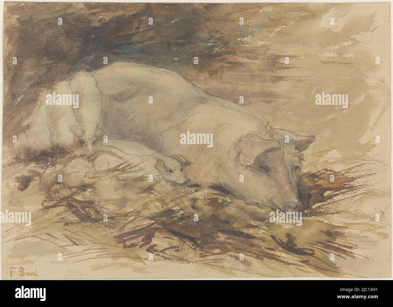 Sow with piglets, draughtsman: Frans Smissaert, 1872 - 1944, paper ...