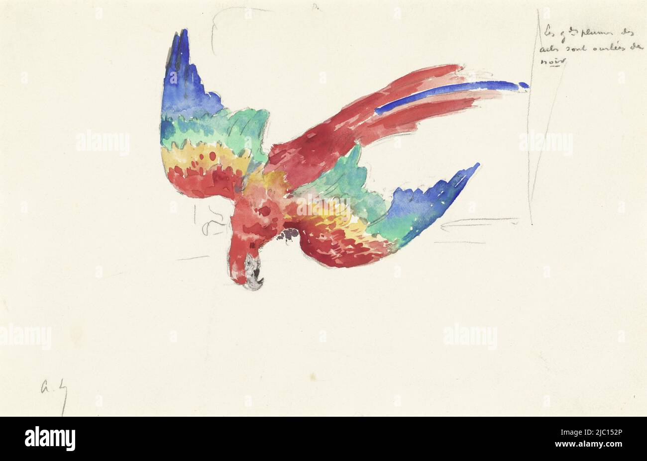Parrot, looking down, draughtsman: Alexandre Lunois, 1873 - 1916, paper ...