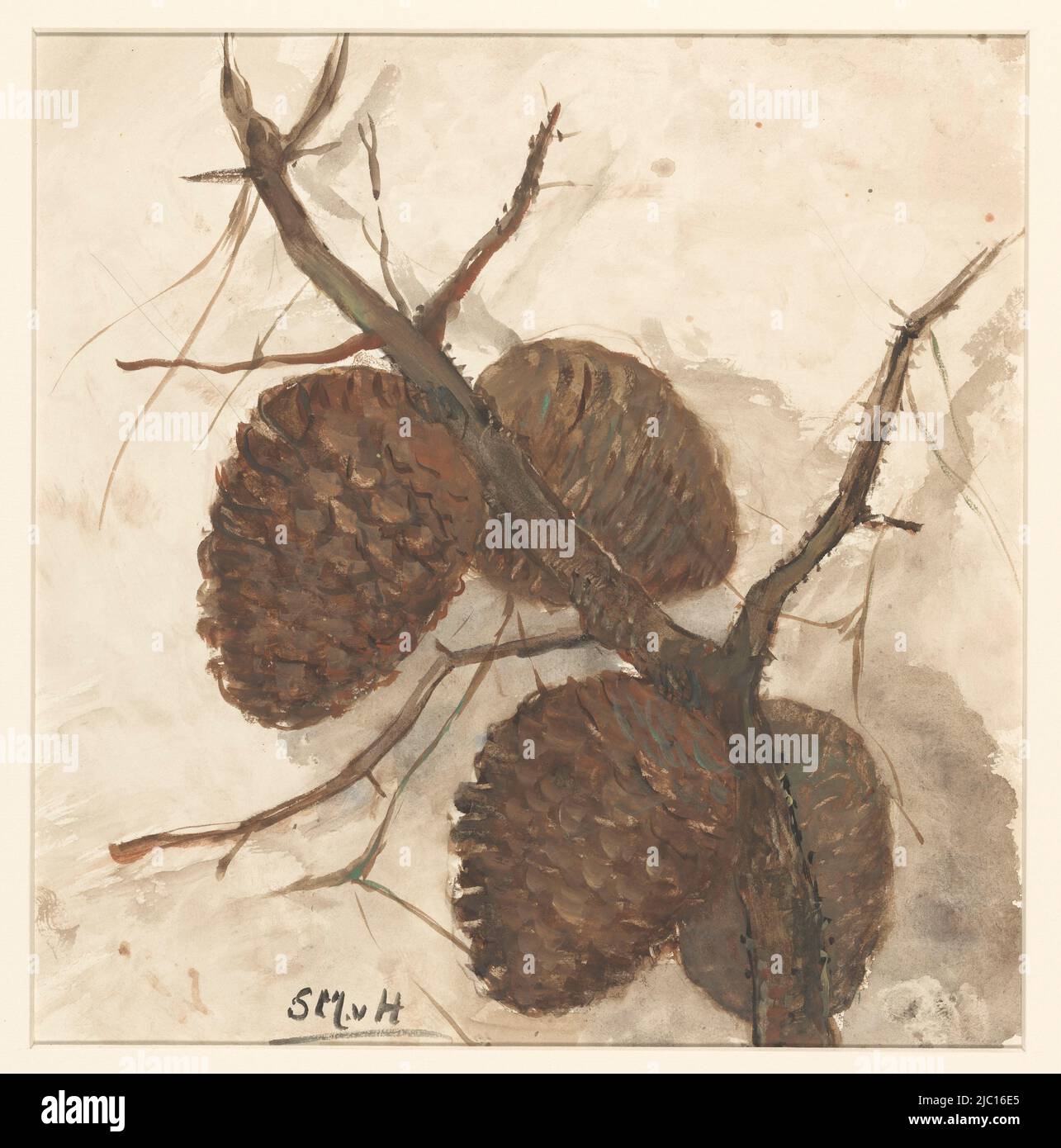 Spruce apples on a branch, draughtsman: Sientje Mesdag-van Houten, 1844 ...