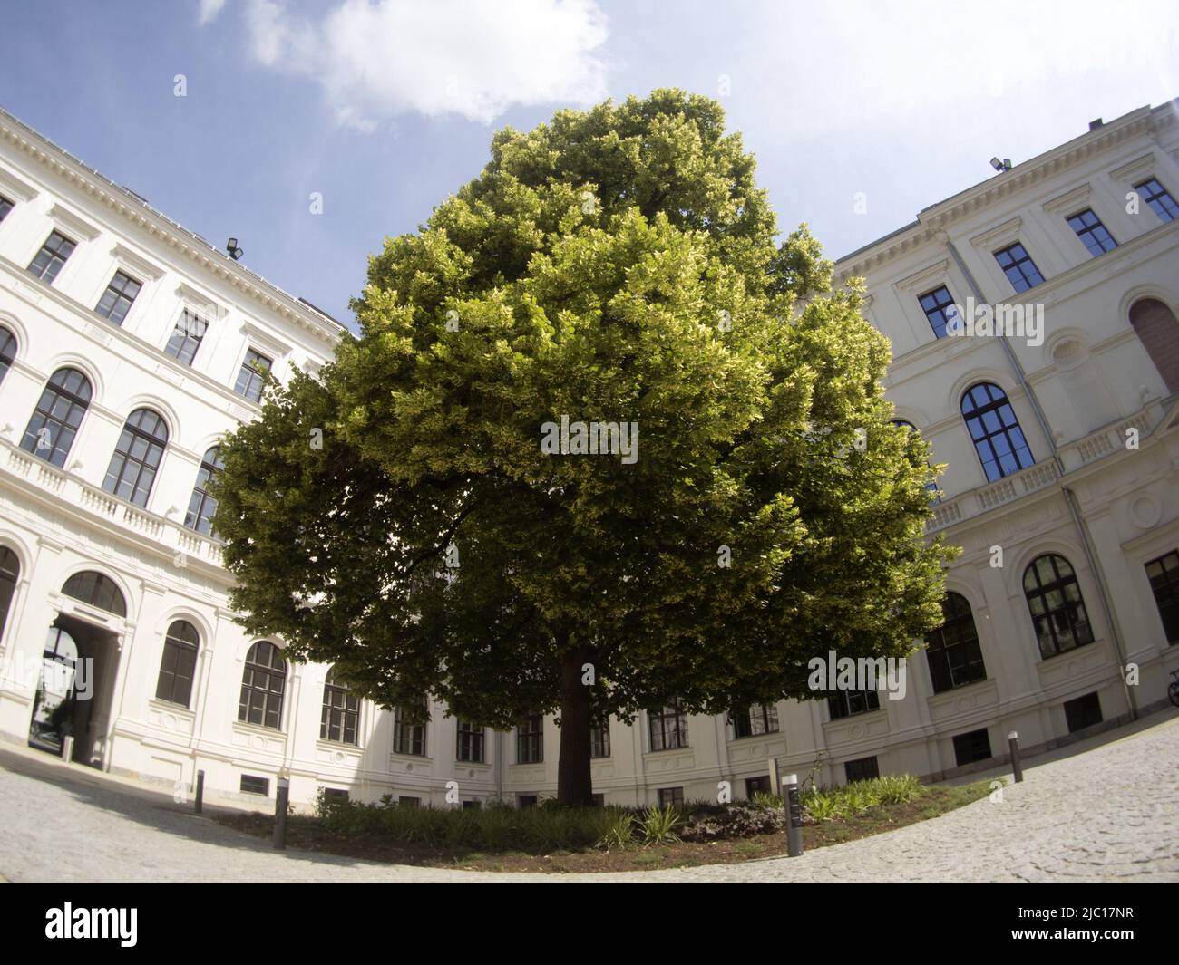 University of graz hi-res stock photography and images - Alamy