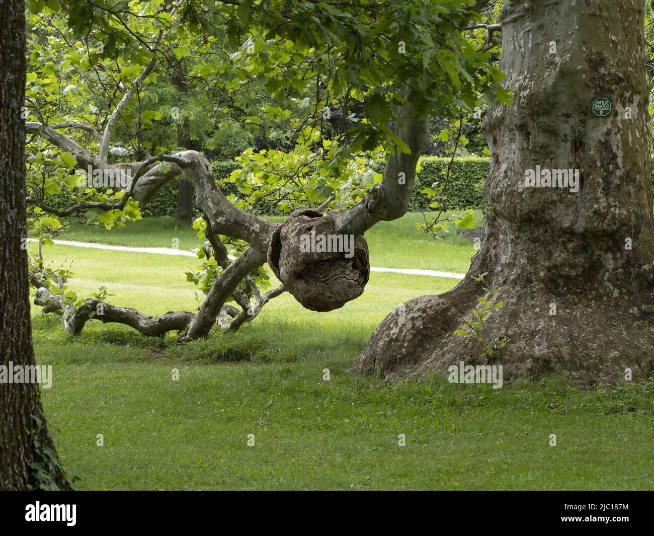 Eggenberg garden hi-res stock photography and images - Alamy