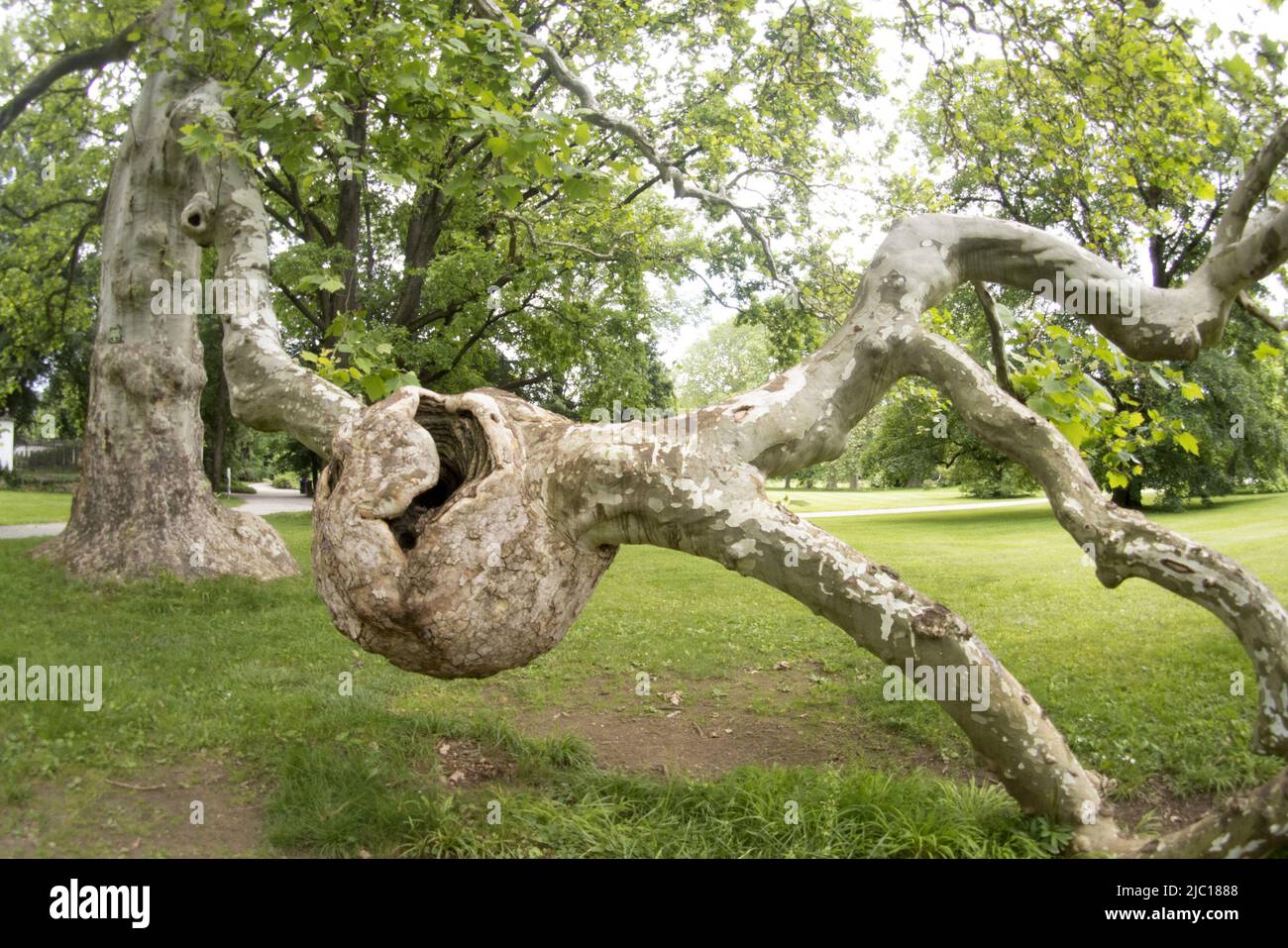 Graz historical Eggenberg castle beautiful garden park Stock Photo - Alamy