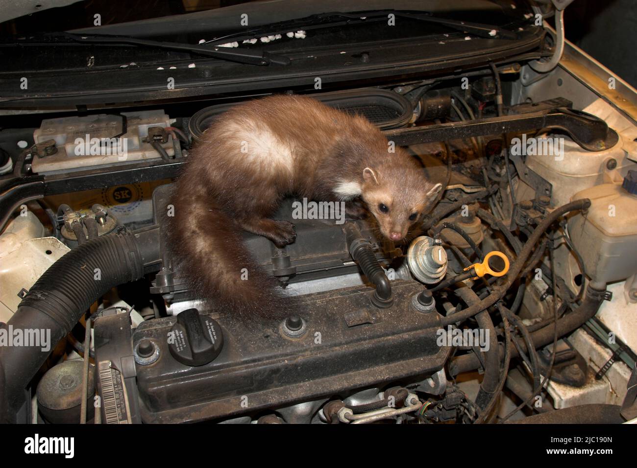 Engine compartment hi-res stock photography and images - Alamy