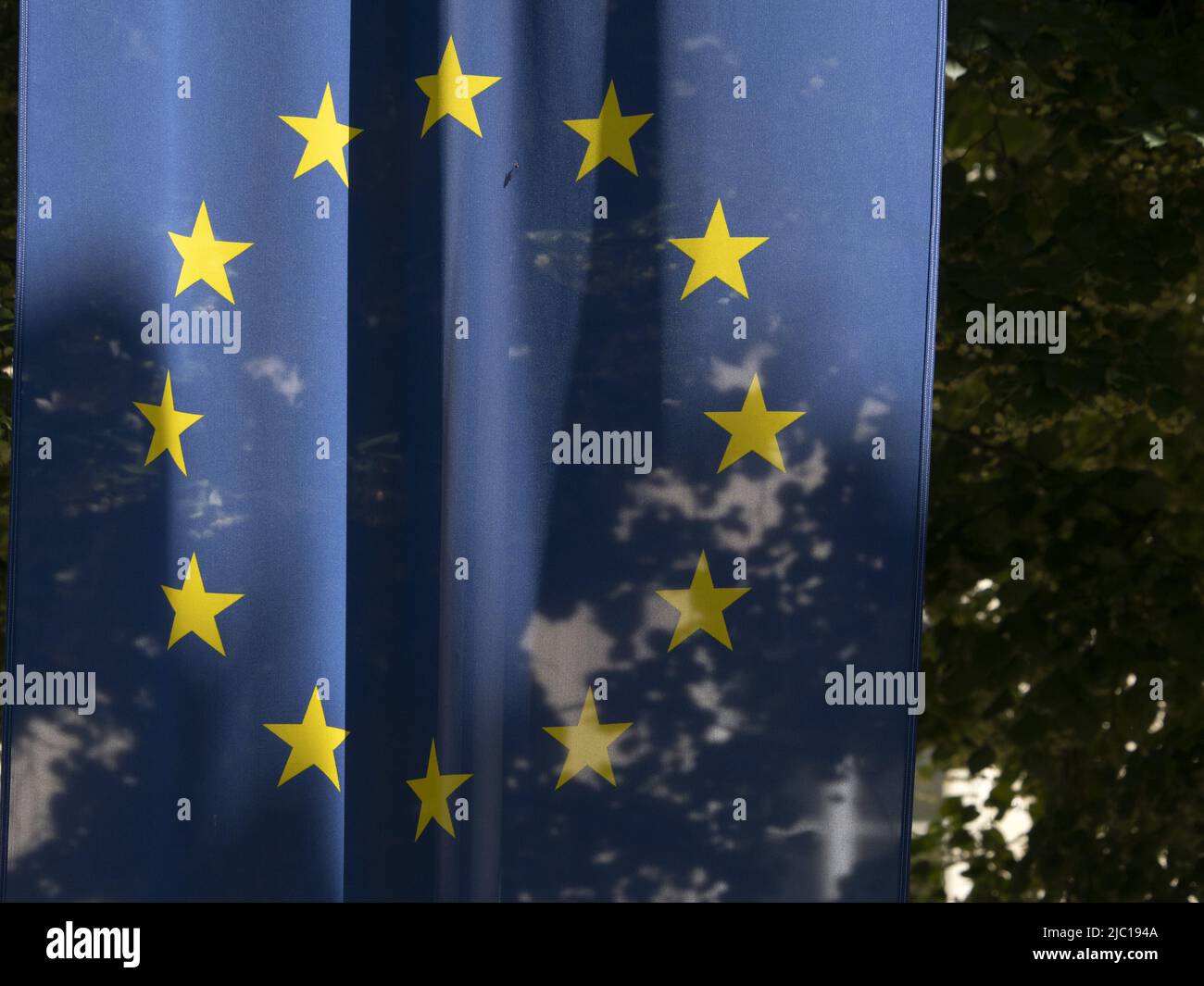 u european community flag vertical on green forest background Stock ...
