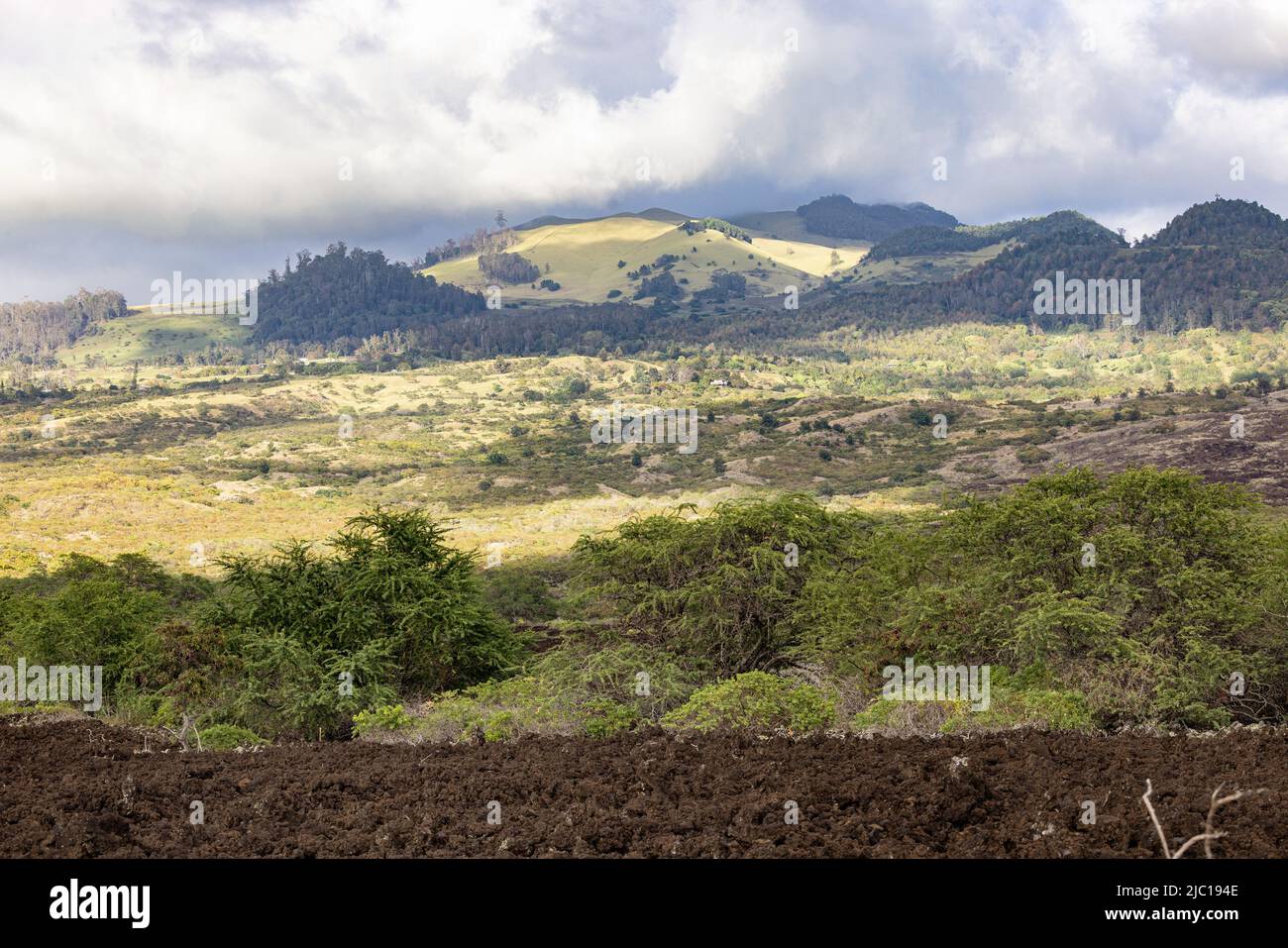 Shield volcano Haleakala with old and young lava fields, USA, Hawaii ...